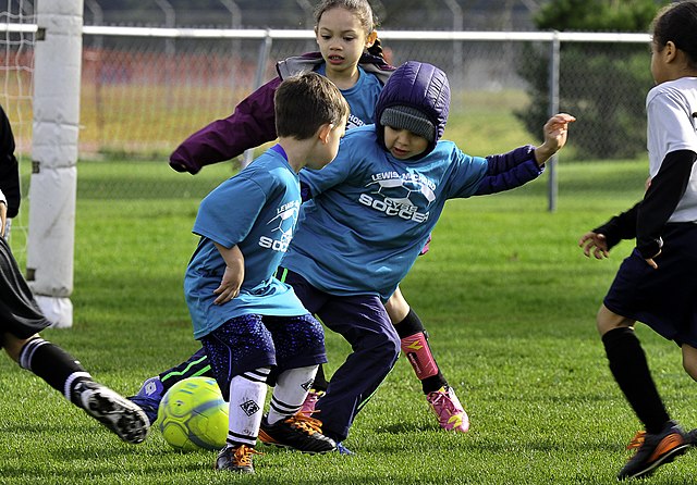 Glädjande siffror för barn- och ungdomsidrotten | SPORTochFRITIDSnyheter.se